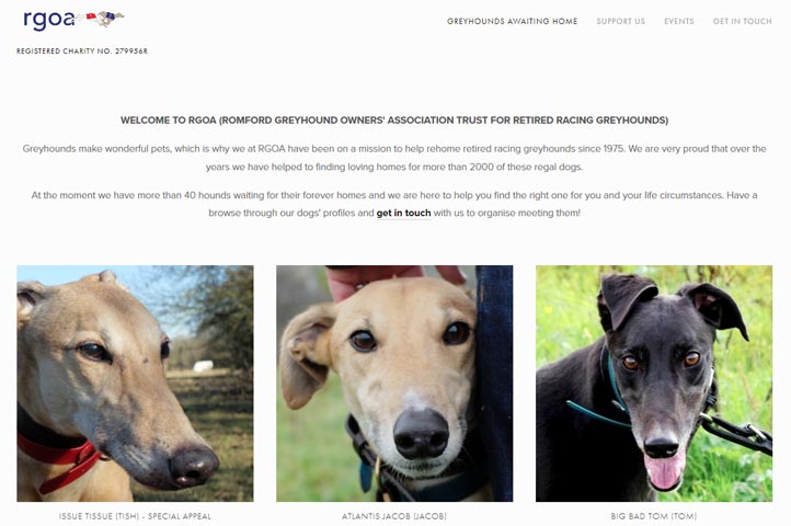 Dog Rescue and Dog Welfare in Essex - essexdogs.co.uk