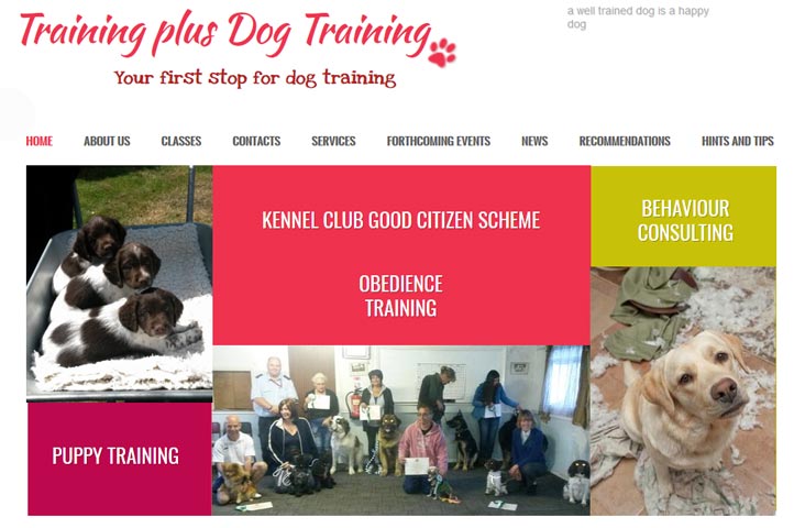 Training Plus, Cressing - Essex Dogs